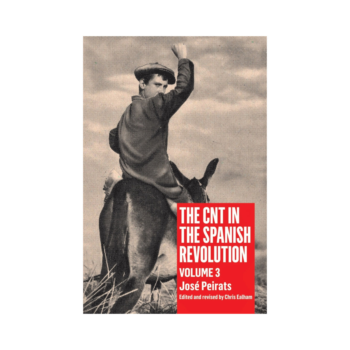 The CNT in the Spanish Revolution: Volume 3 - José Peirats – Working ...
